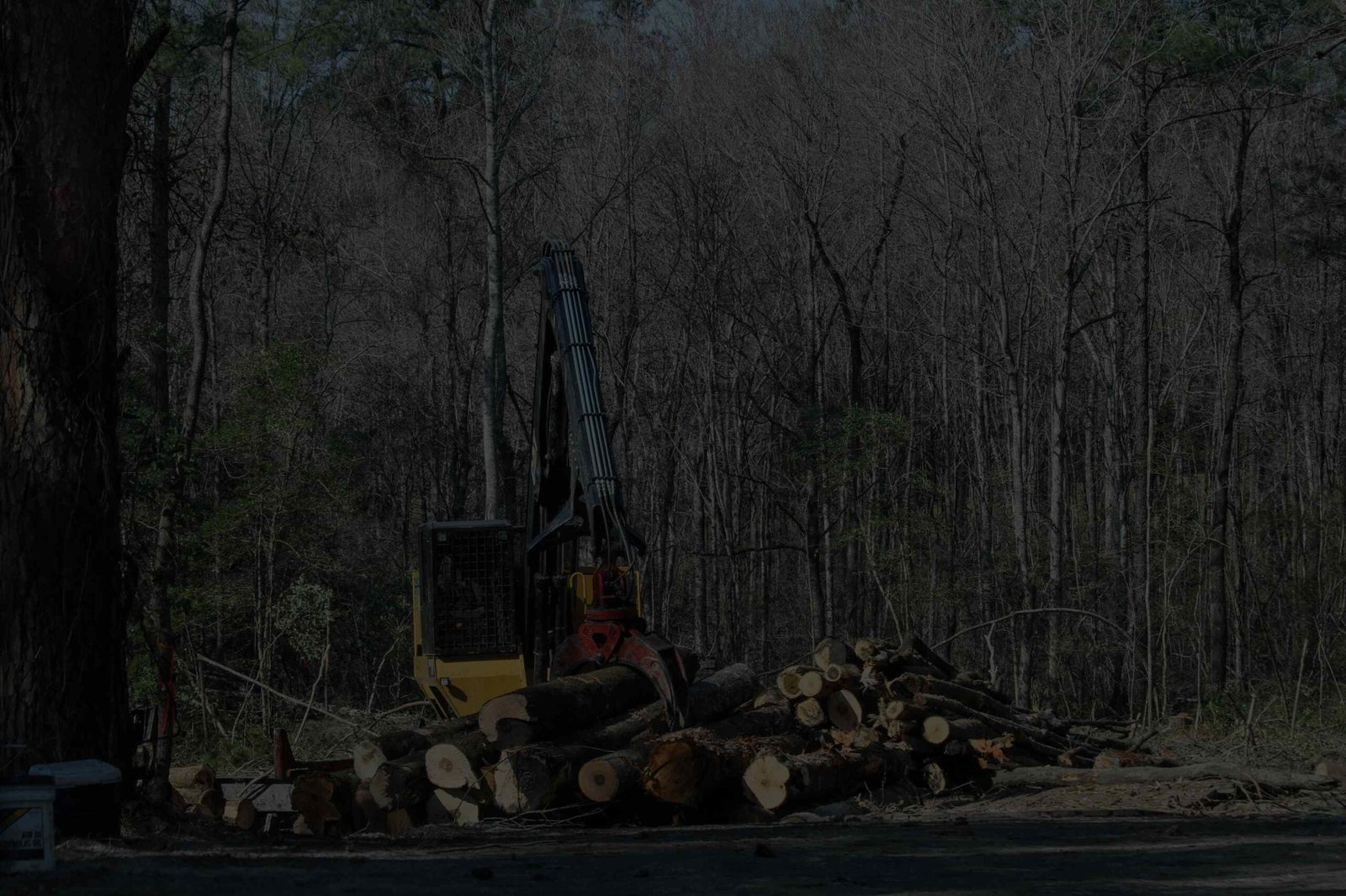 About us - Tree Services Clarence